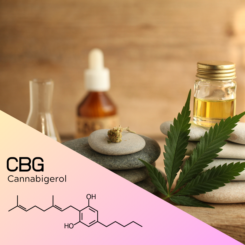 CBG – Slightly Elevated